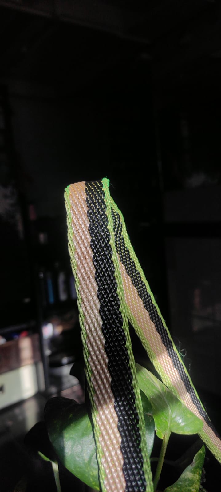 Highline Gear – Learn slacklining in India with Slacklife Inc. by Samar ...